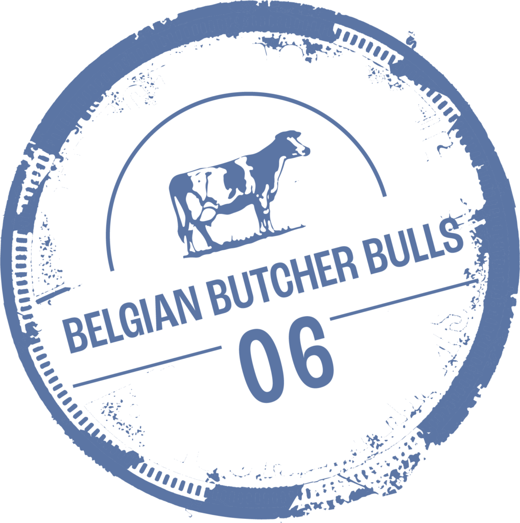 Belgian Butcher Bulls